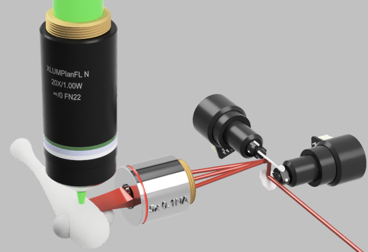 Analysis Of Microscopy Data — Full Stack Microscopy Handbook